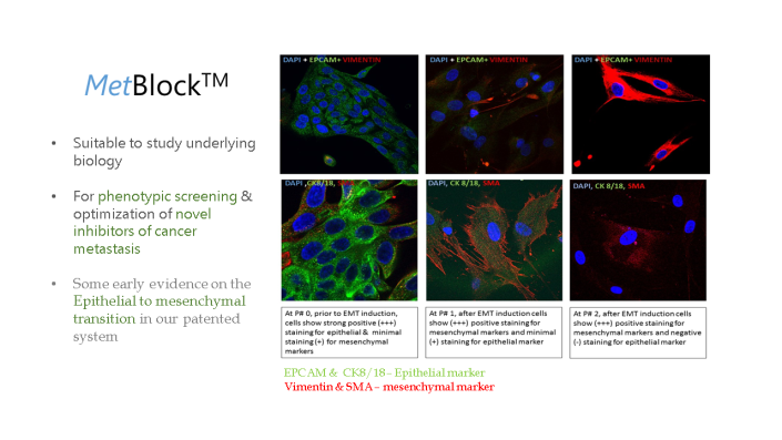 MetBlock – Sapien Biosciences