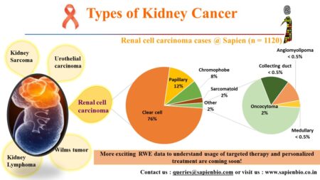 Types of Kidney Cancer – Sapien Biosciences