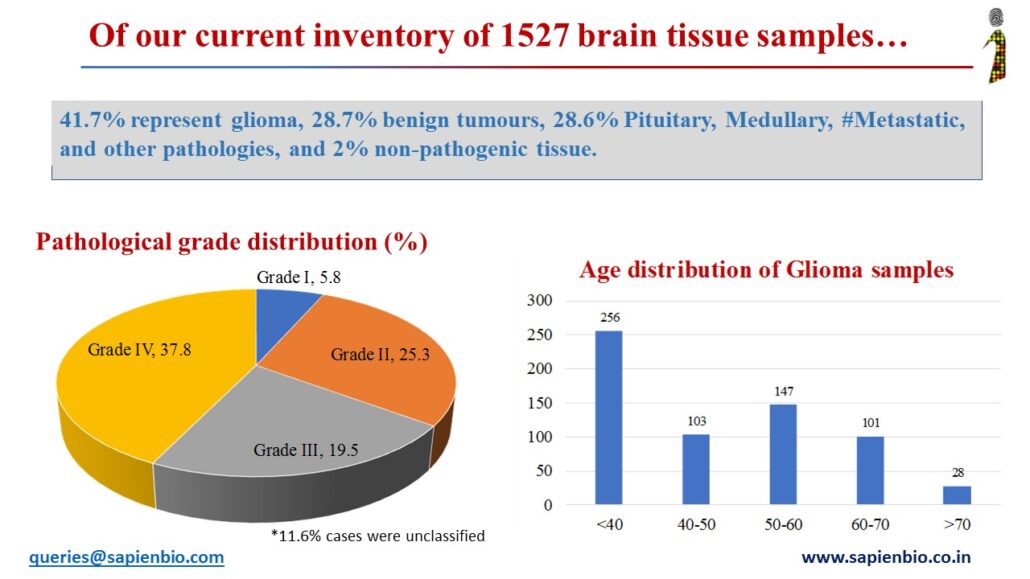 Grade and Age distribution of Brain Cancers – Sapien Biosciences