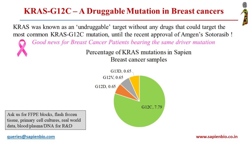 KRAS mutations in Breast cancer may be treatable – Sapien Biosciences