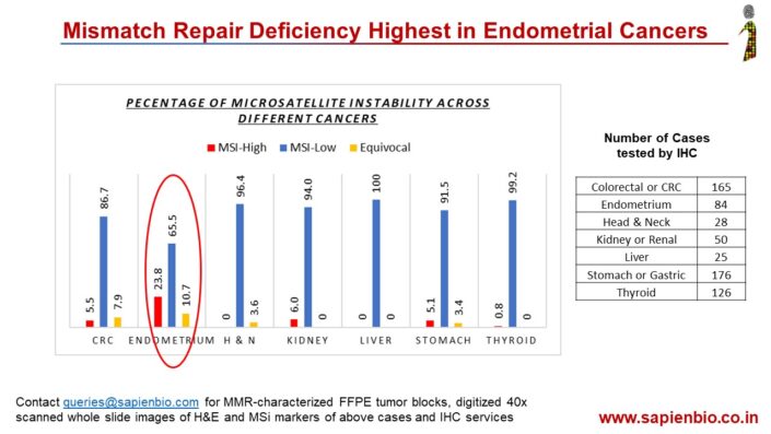 Mismatch repair deficiency tested in seven cancer types – Sapien ...
