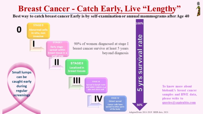 Staging of Breast Cancer is Important – Sapien Biosciences